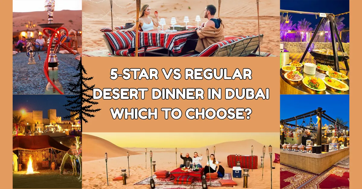 5‑Star vs Regular Desert Dinner in Dubai: Which to Choose?