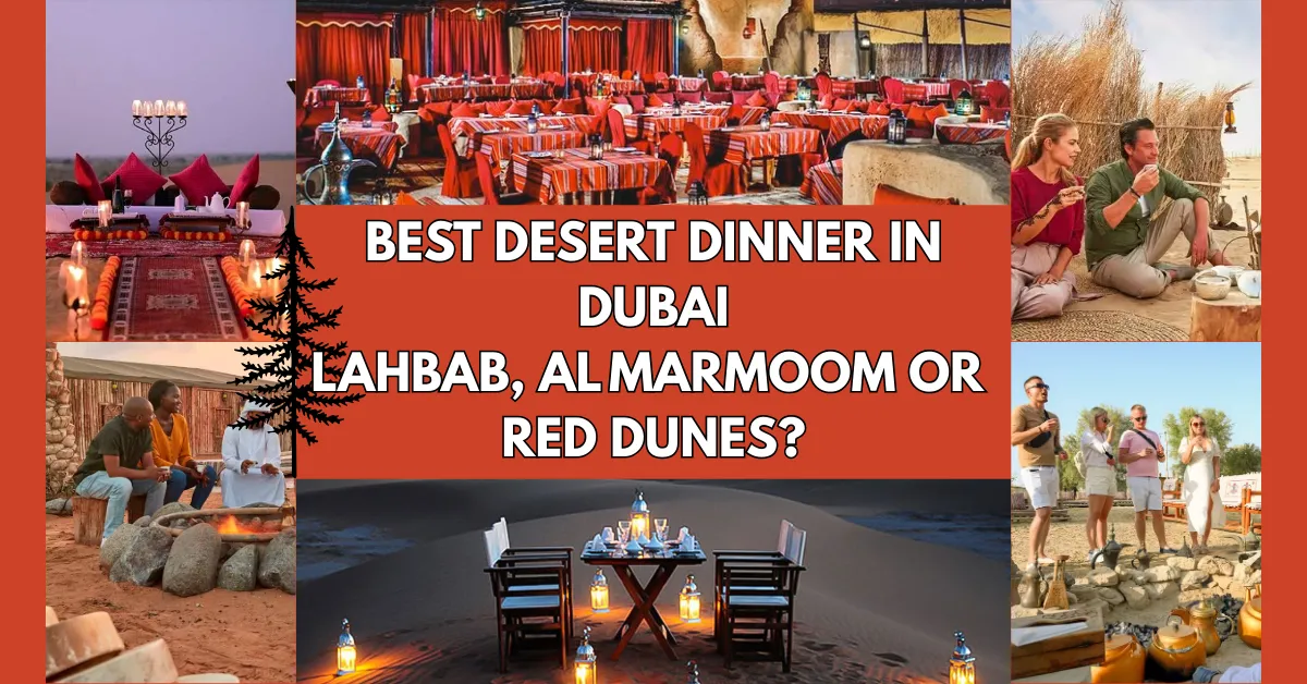 Best Desert Dinner in Dubai | Lahbab, Al Marmoom or Red Dunes?